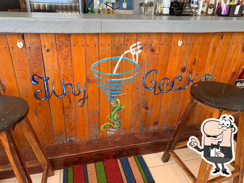 Tiny Gecko Bar, Isla Mujeres - Restaurant reviews