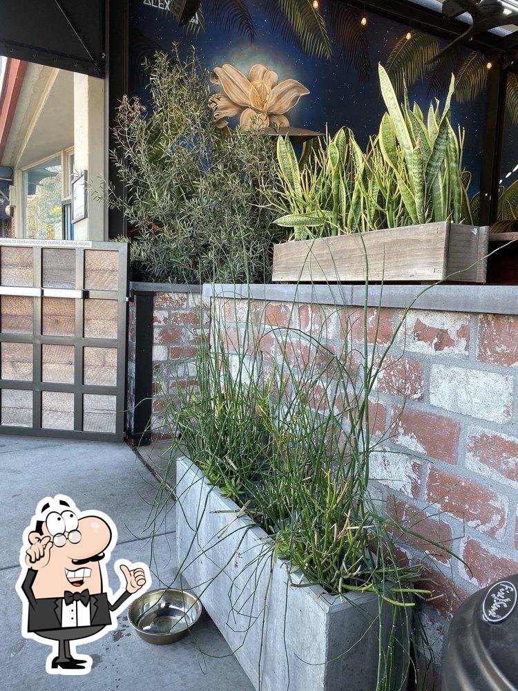 Luce Bar & Kitchen, San Diego - Restaurant menu, prices and reviews