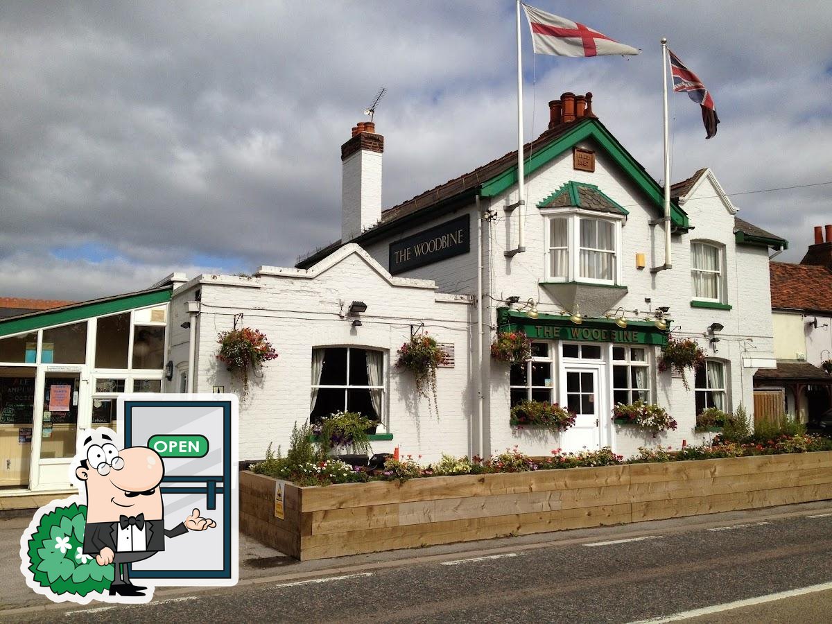 The Woodbine Inn in Waltham Abbey - Restaurant menu and reviews