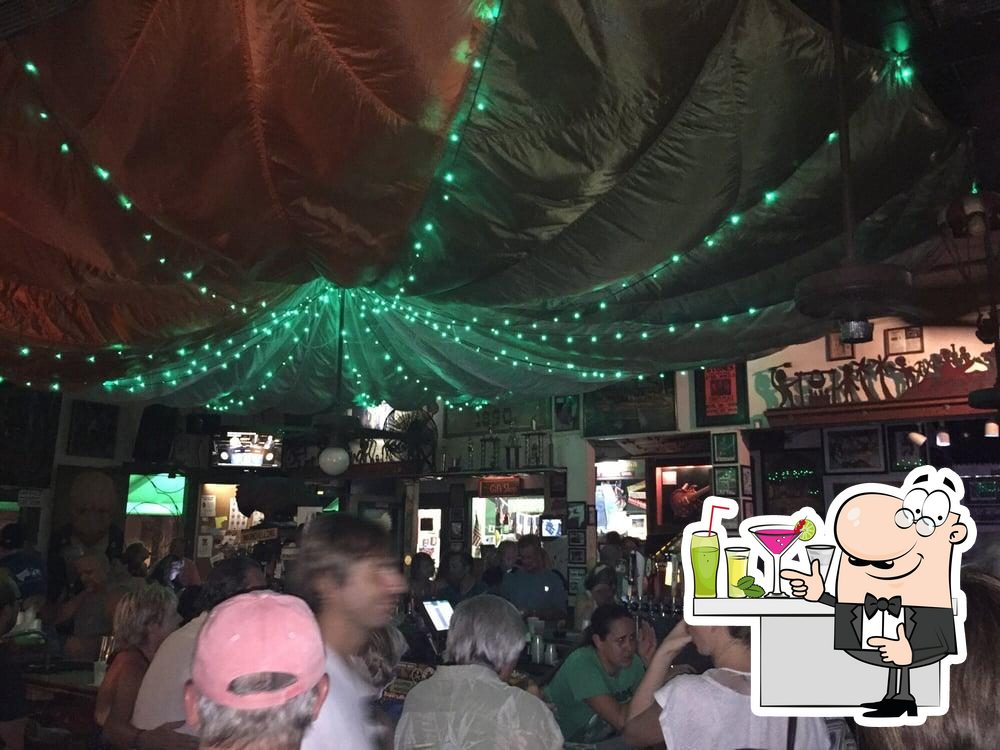 Green Parrot Bar