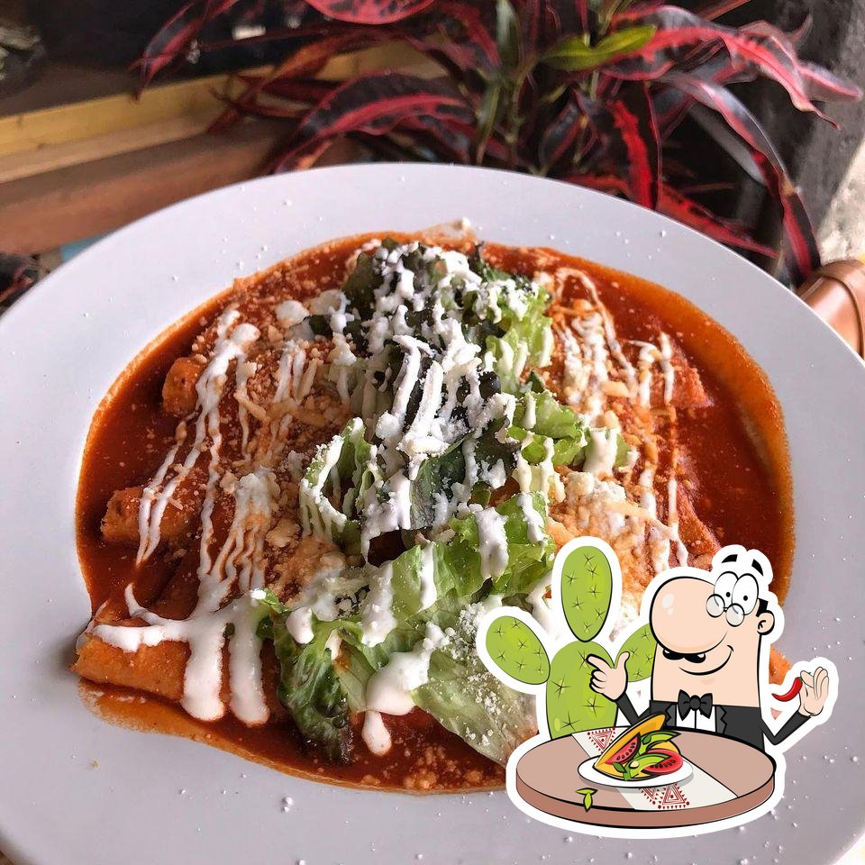 Fonda El Albur restaurant, Mexico City - Restaurant reviews
