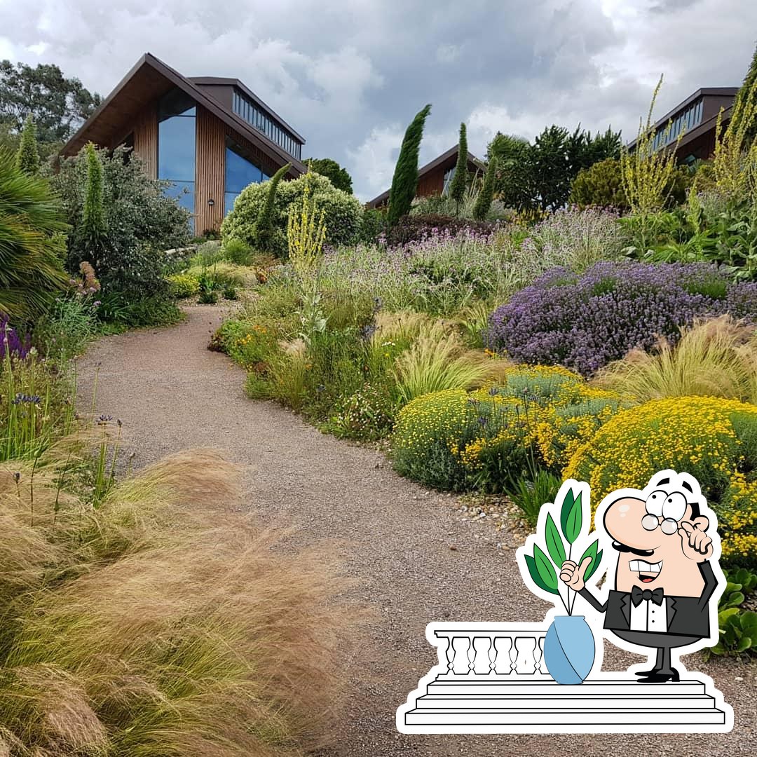 RHS Garden Hyde Hall in South Woodham Ferrers - Restaurant reviews