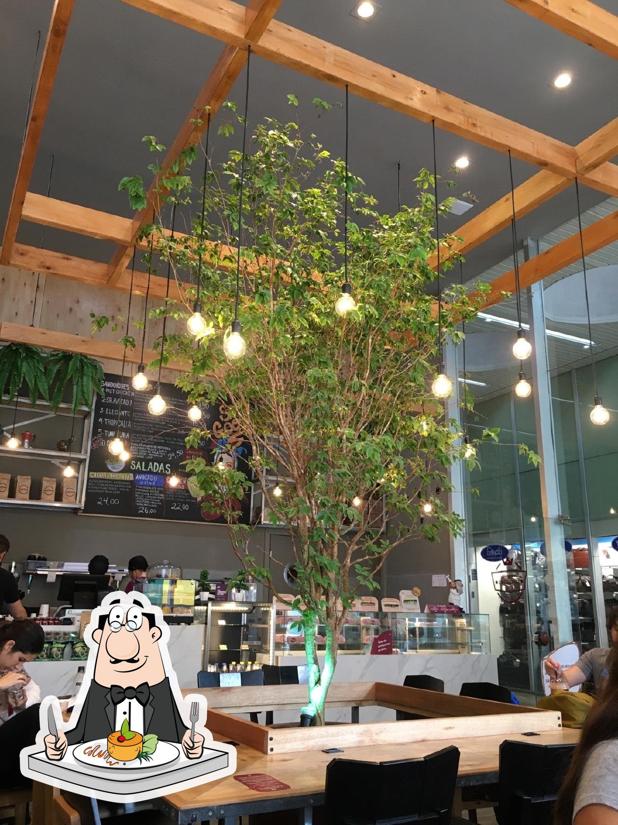 Loop Food - Sandwiches cafe, Curitiba, R. Comendador Araújo ...