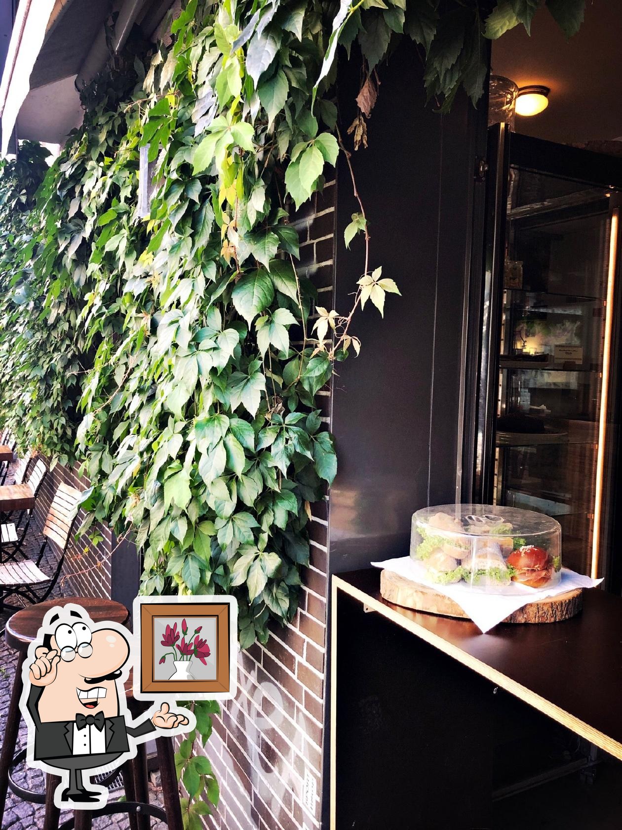 Lois pub & bar, Berlin, Linienstraße 60 - Restaurant reviews