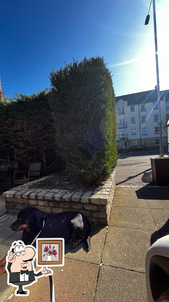 Novar, Kirkcaldy - Restaurant menu, prices and reviews