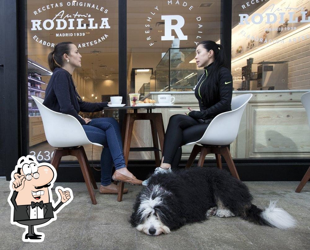 Café Rodilla, Miami, 701 S Miami Ave - Carta del restaurante y opiniones