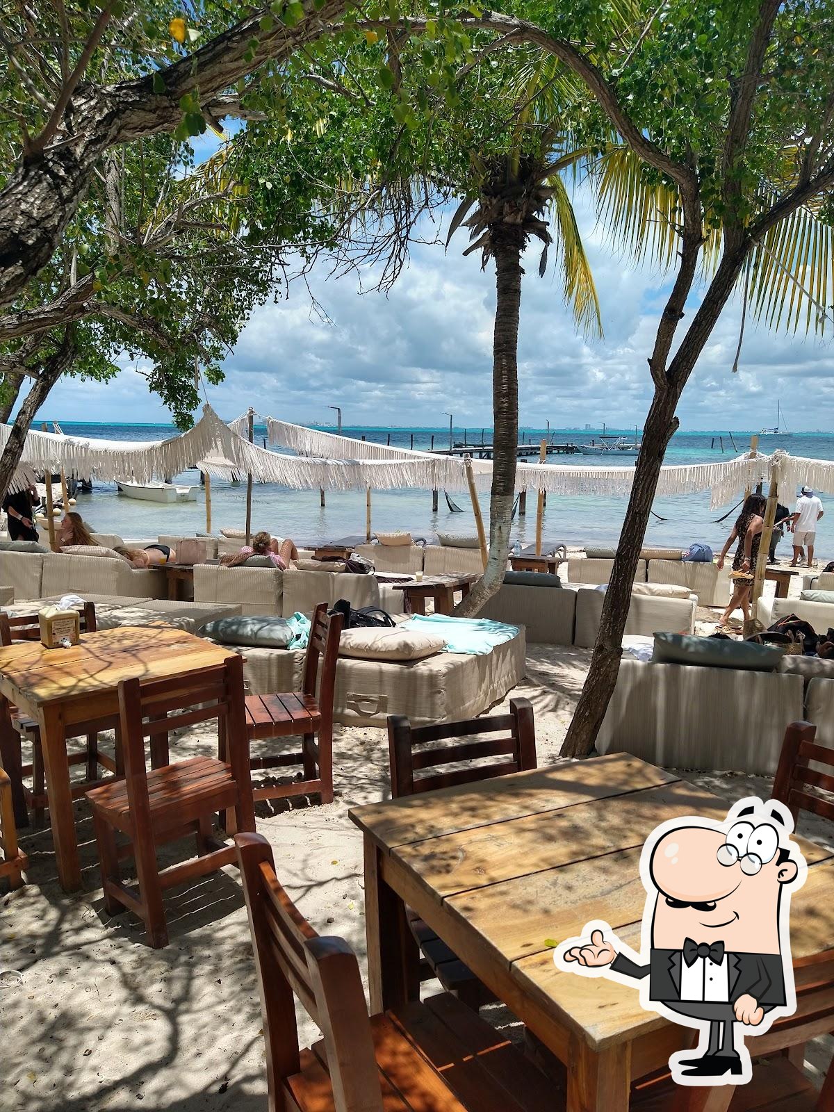Albatros Beach Club Restaurant & Bar, Isla Mujeres - Restaurant reviews