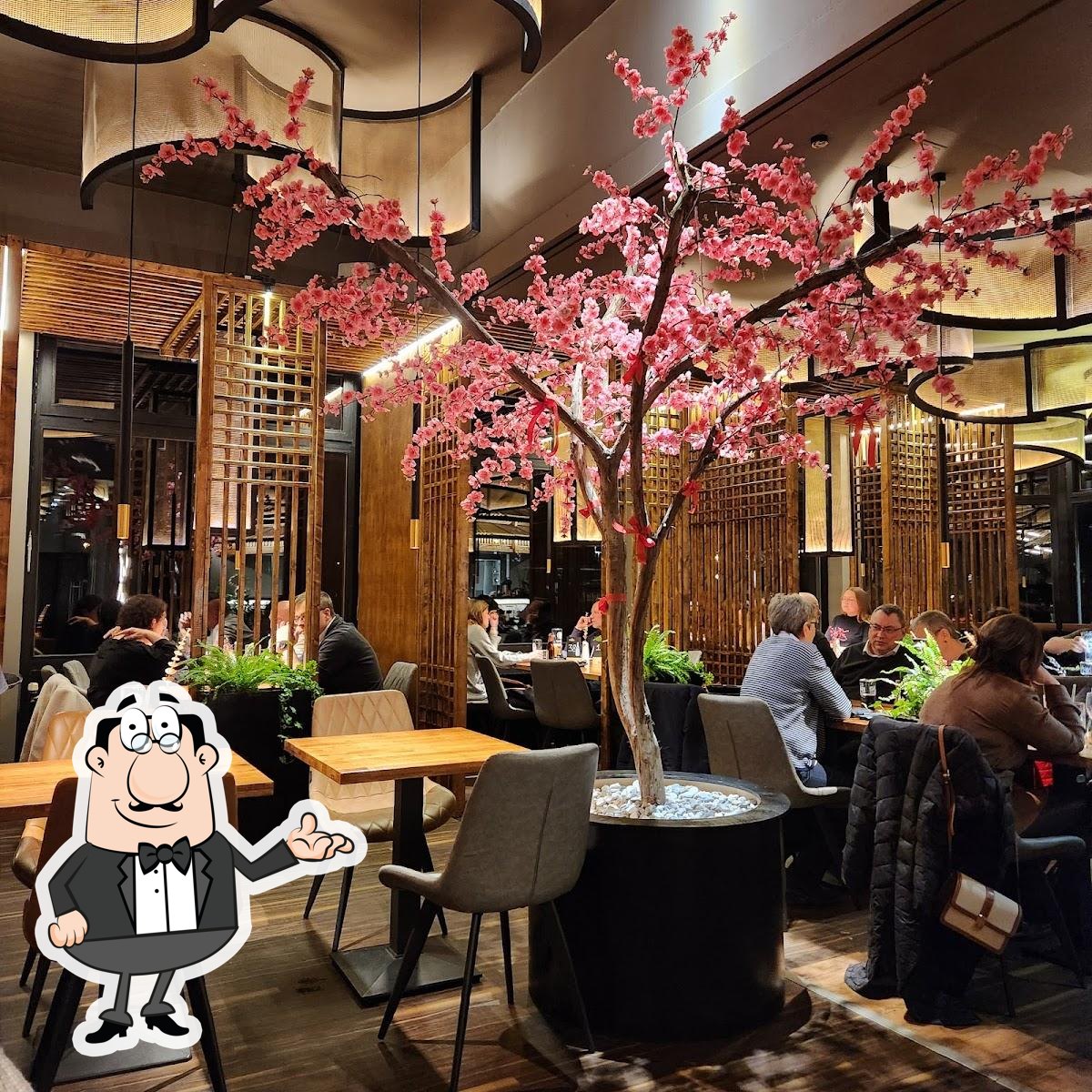 An An 2 - Vietnamese Cuisine & Sushi Bar, Tübingen - Speisekarte, Preise und Bewertungen