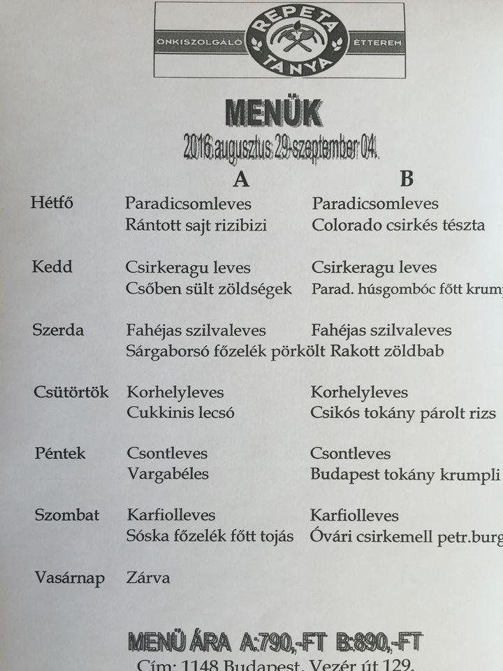 Menu at Repeta Tanya restaurant, Budapest
