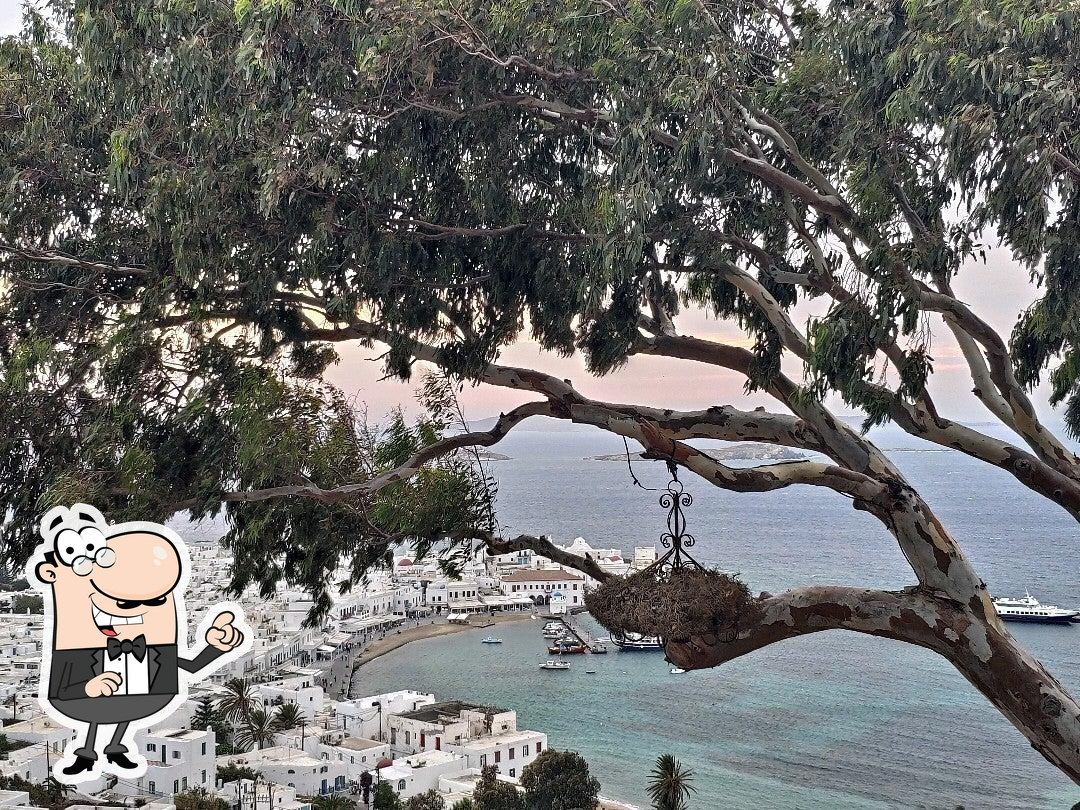 180º Sunset Bar, Mikonos - Restaurant reviews