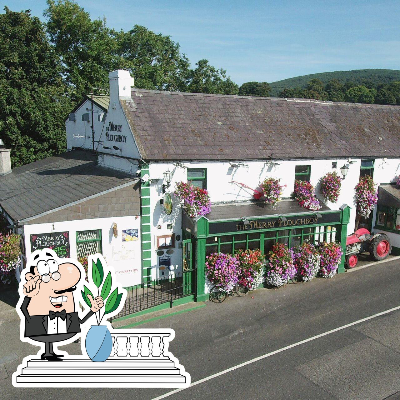 Merry Ploughboys Irish Night, Dublin - Restaurant menu, prices and reviews