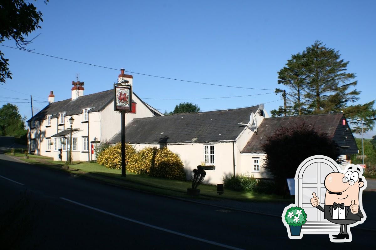The Holland Arms in Trofarth - Restaurant menu and reviews
