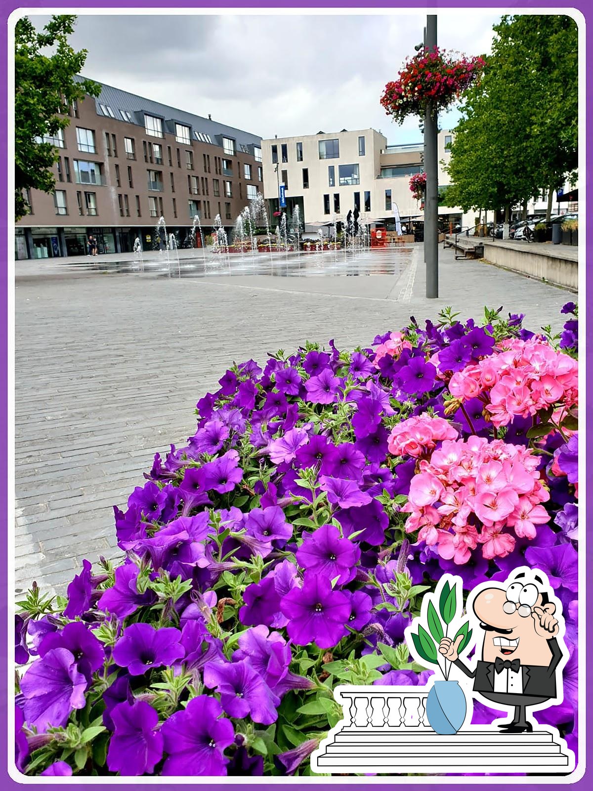 ArabesQ, Kapellen - Restaurant menu and reviews