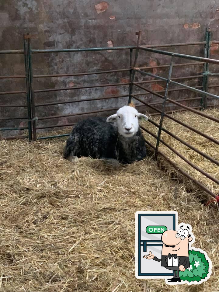 Lizzie's Farm in Bromsgrove - Restaurant reviews