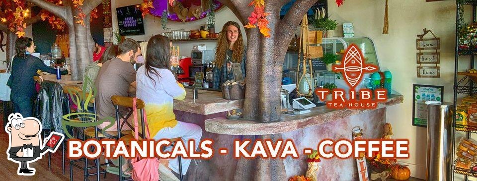 Tribe Tea House in Kenneth City - Restaurant reviews