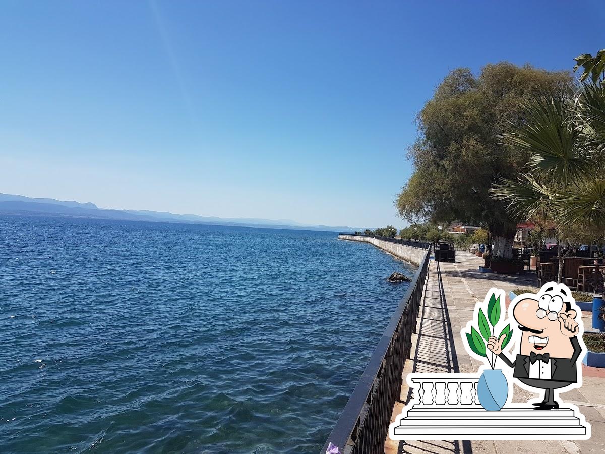 Gorgona Di Stefano Amarythos Oυζερι Psarotaverna, Amarynthos ...