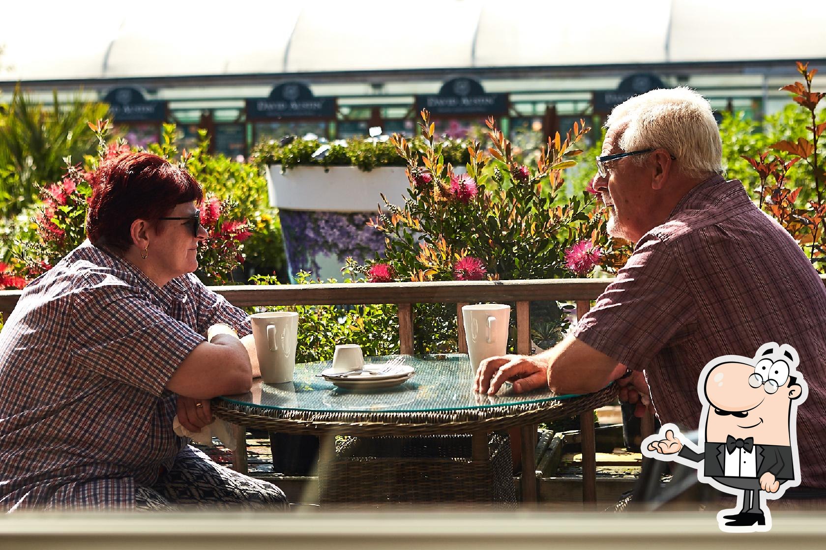 Scotsdales Garden Centre Fordham Reviews | Fasci Garden