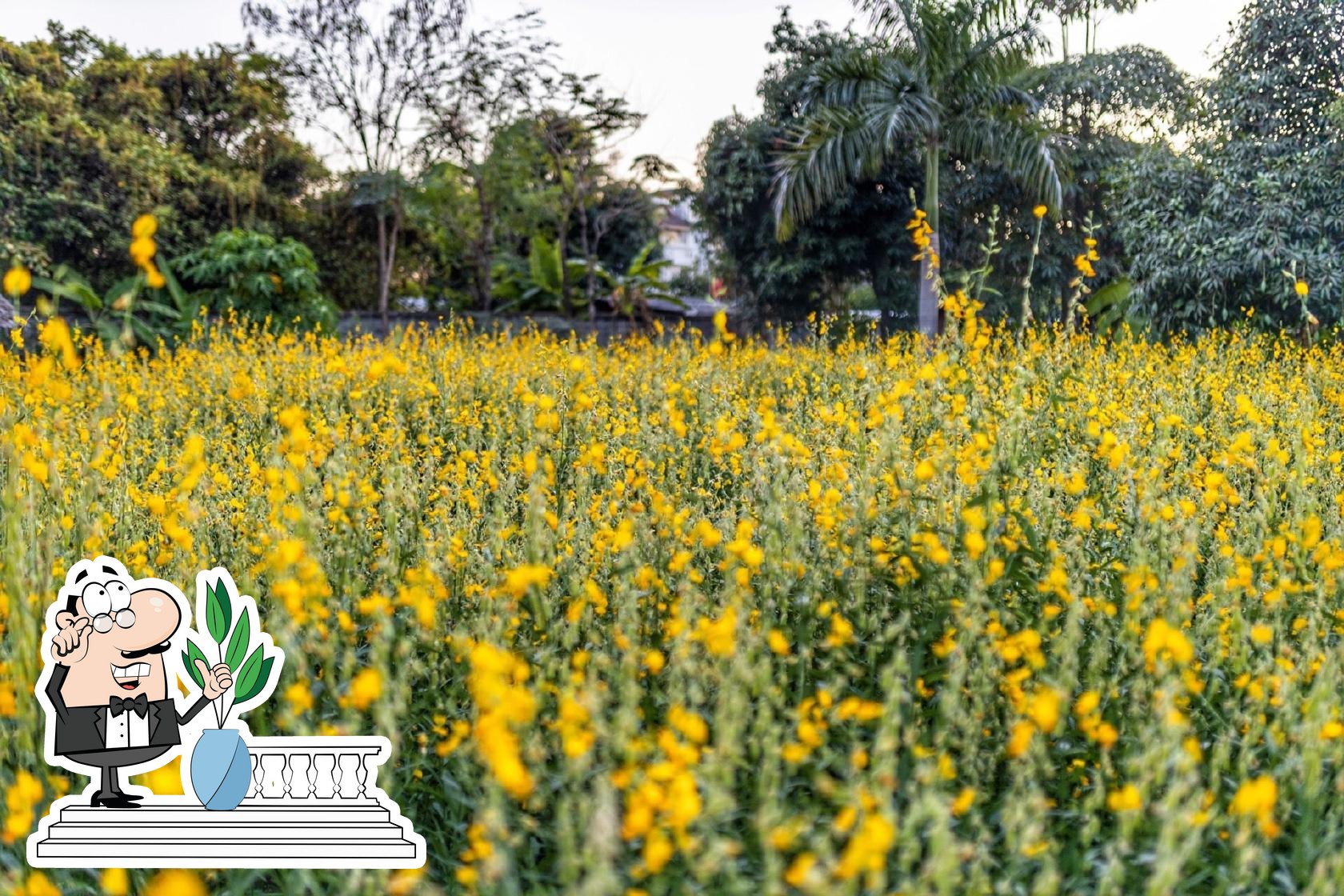 Allotment cafe, Bangkok - Restaurant reviews