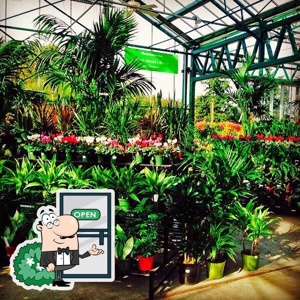 Swansons Nursery in Seattle - Restaurant reviews