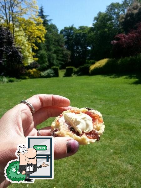 Rochester Cathedral Tea Rooms in Rochester - Restaurant reviews