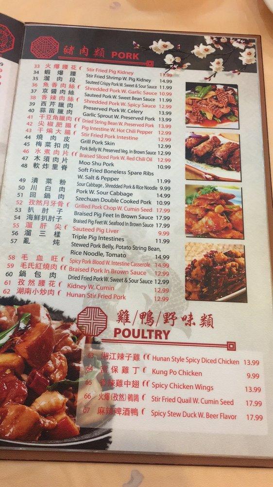 Menu at Spring Fish Village restaurant, New York City, 136-21 41st Ave