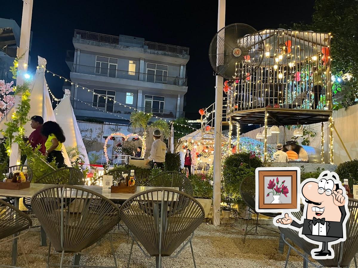 The Big Tree Cafe Golf Course Road Big Tree Cafe, Gurugram - Restaurant ...