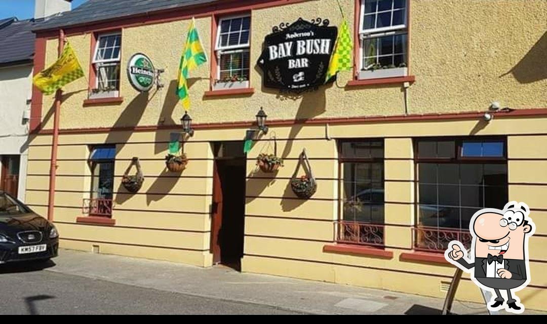 Bay Bush Bar & Takeaway, Ballintra - Restaurant menu, prices and reviews