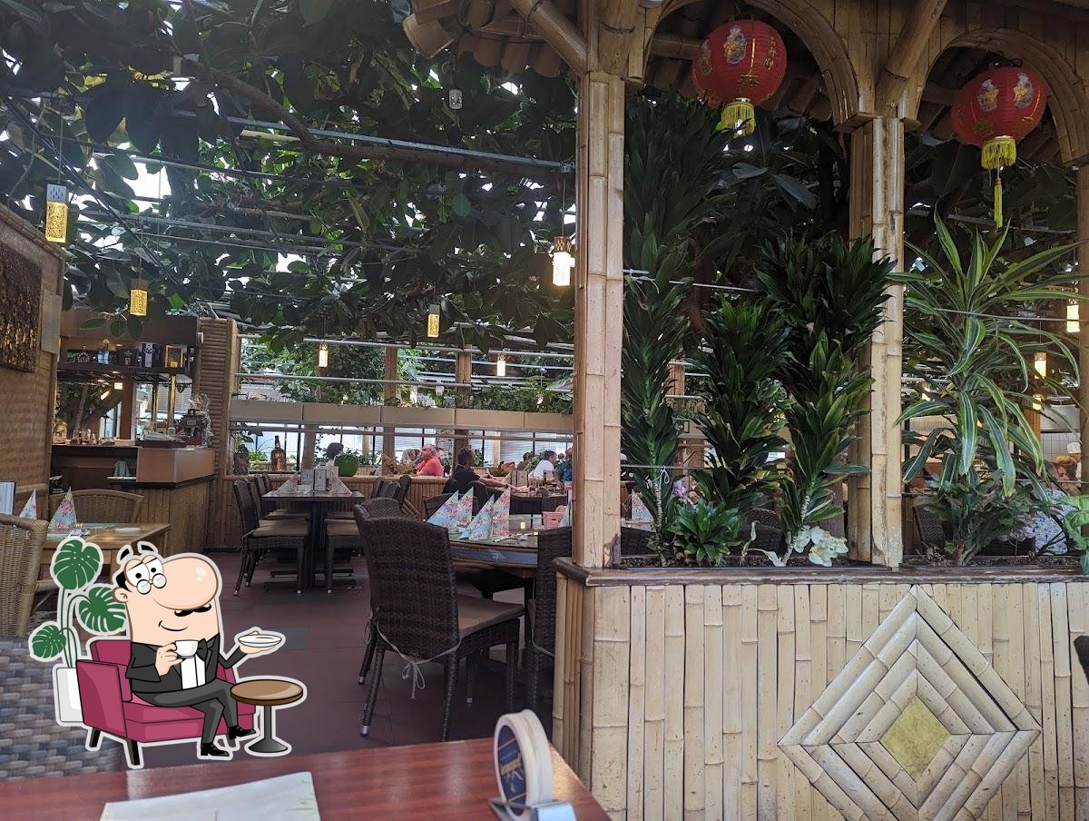 Bambus Garten Dsseldorf