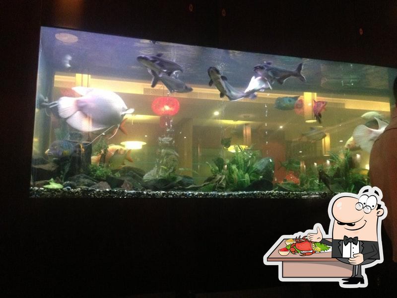 Sizzling Wok - Citymax, Mankhool restaurant, Dubai - Restaurant reviews