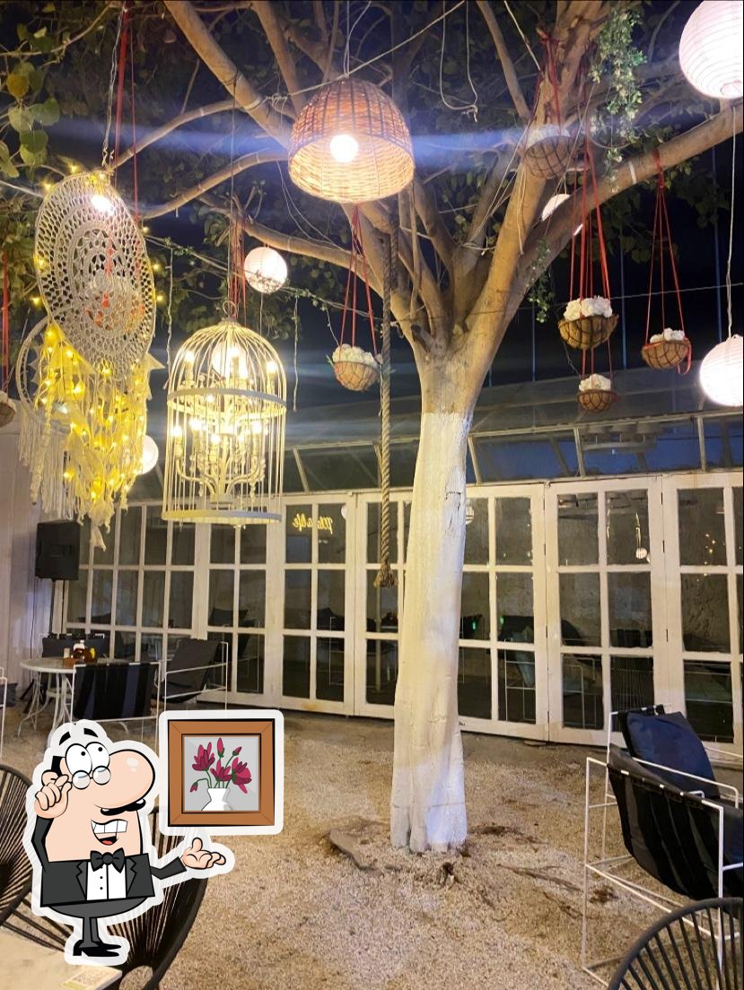 The Big Tree Cafe Golf Course Road Big Tree Cafe, Gurugram - Restaurant ...