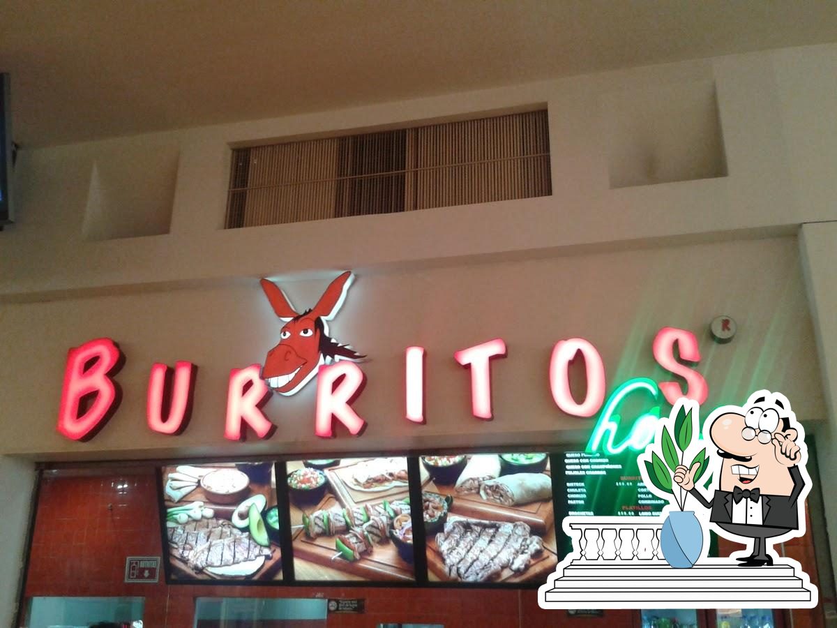 Burritos House, Leon - Menú del restaurante, precios y reseñas