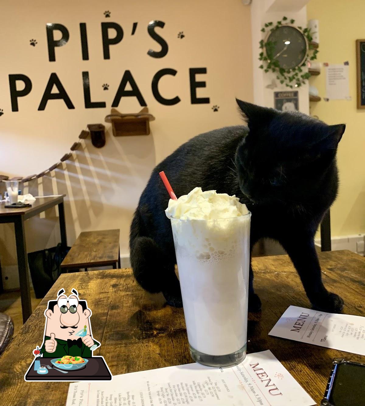 Pip's Palace Cat Cafe, Brentwood - Restaurant menu, prices and reviews