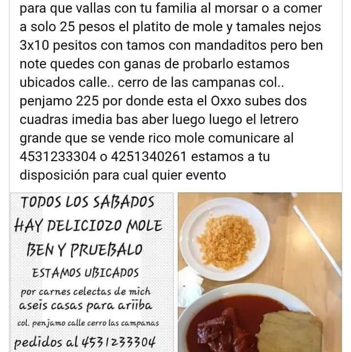 Menu at Rico y delicioso mole con tamales nejos "alexander" restaurant ...