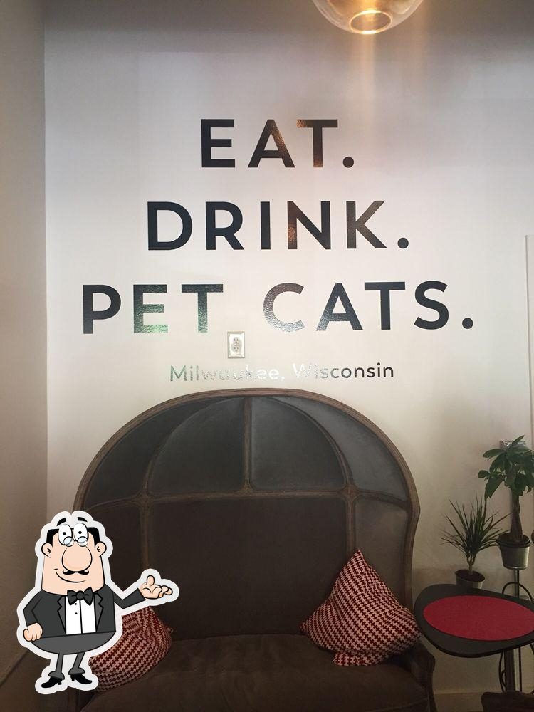 Sip & Purr Cat Café, Milwaukee - Restaurant menu, prices and reviews