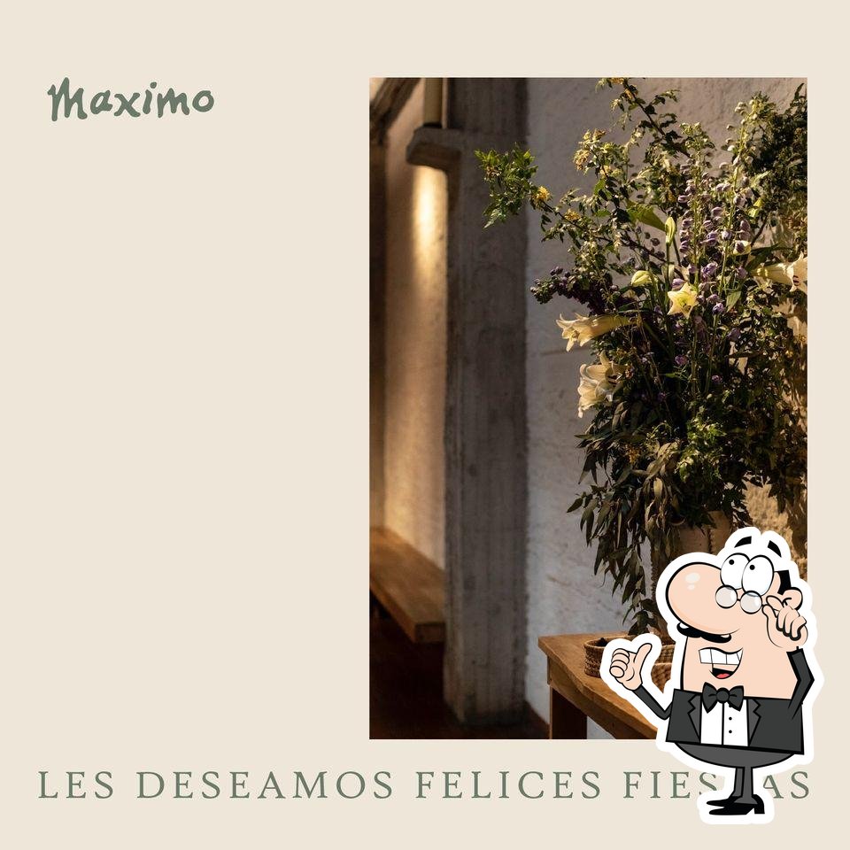 Máximo, Mexico City, Insurgentes - Restaurant menu, prices and reviews