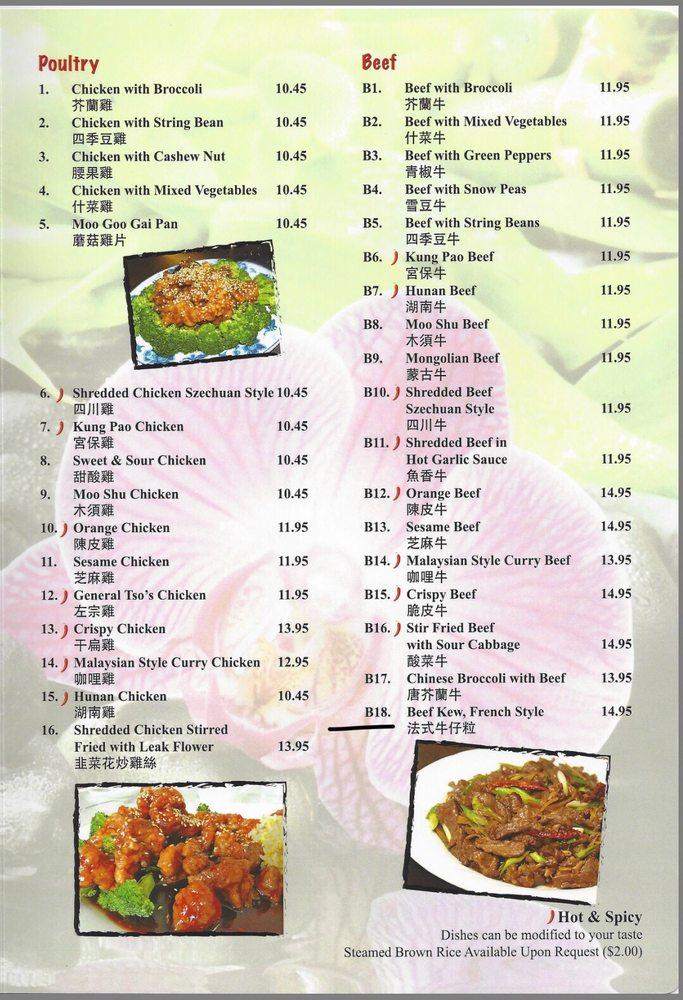 Menu at Noodle King Restaurant, Silver Spring