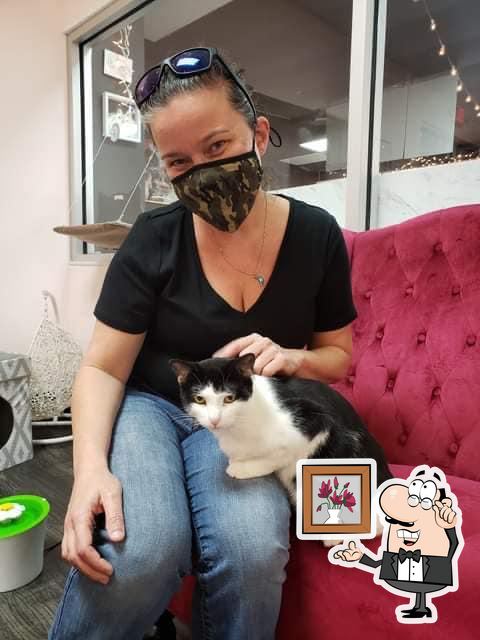 Tally Cat Cafe in Tallahassee - Restaurant menu and reviews