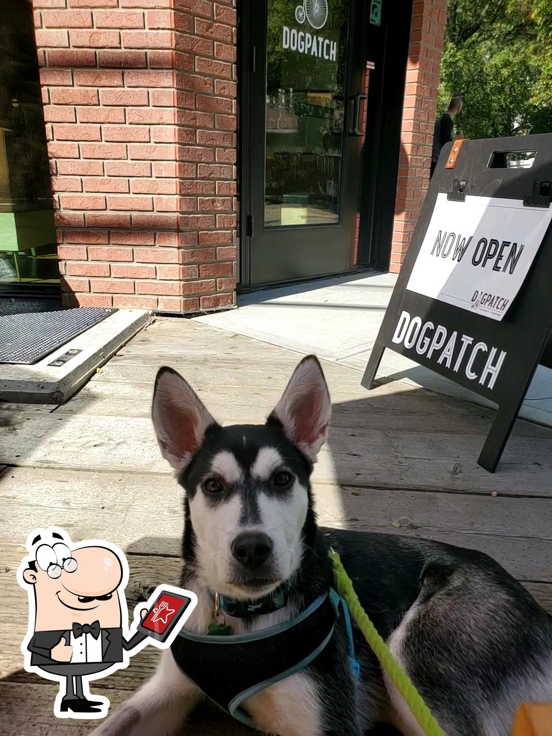 Dogpatch in Edmonton - Restaurant menu and reviews