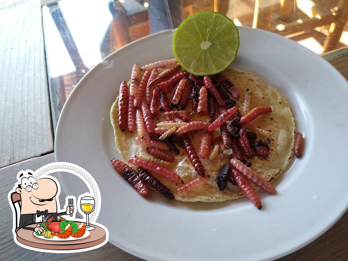 Restaurante Los Escamoles de San Miguel, Singuilucan - Restaurant reviews