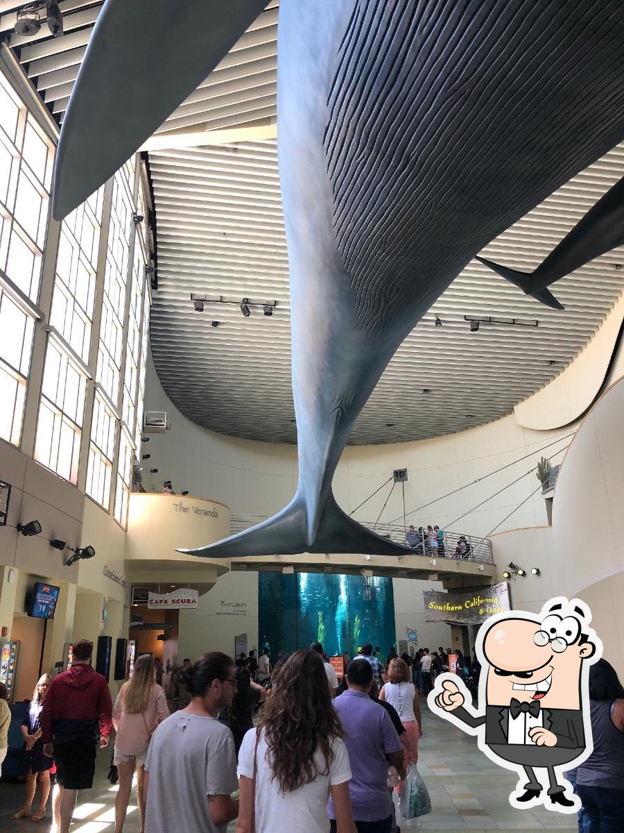 Blue Whale Cafe in Long Beach - Restaurant reviews