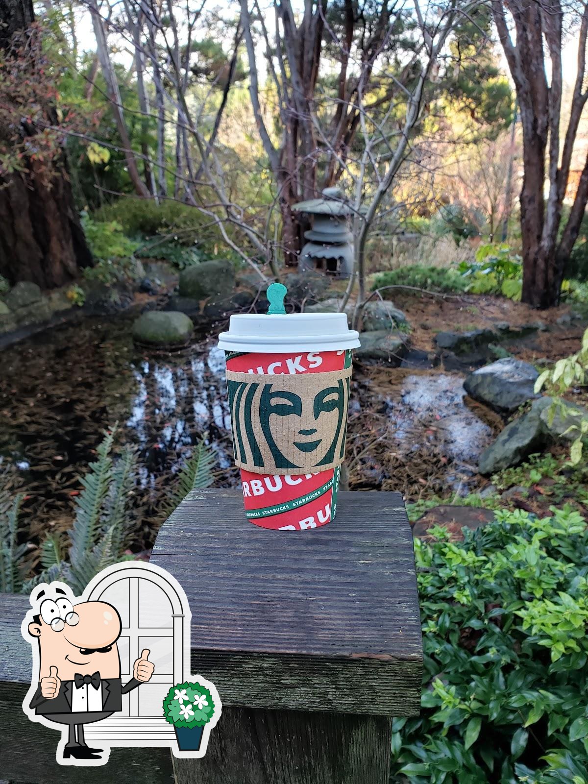 Starbucks, 320 Cook St in Victoria - Restaurant reviews