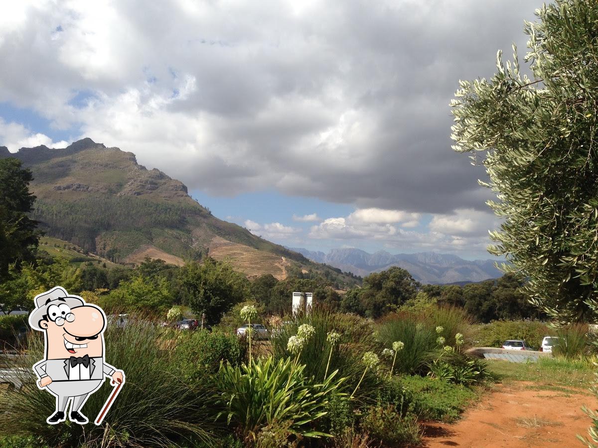 Tokara Olive Shed - Restaurant menu, prices and reviews