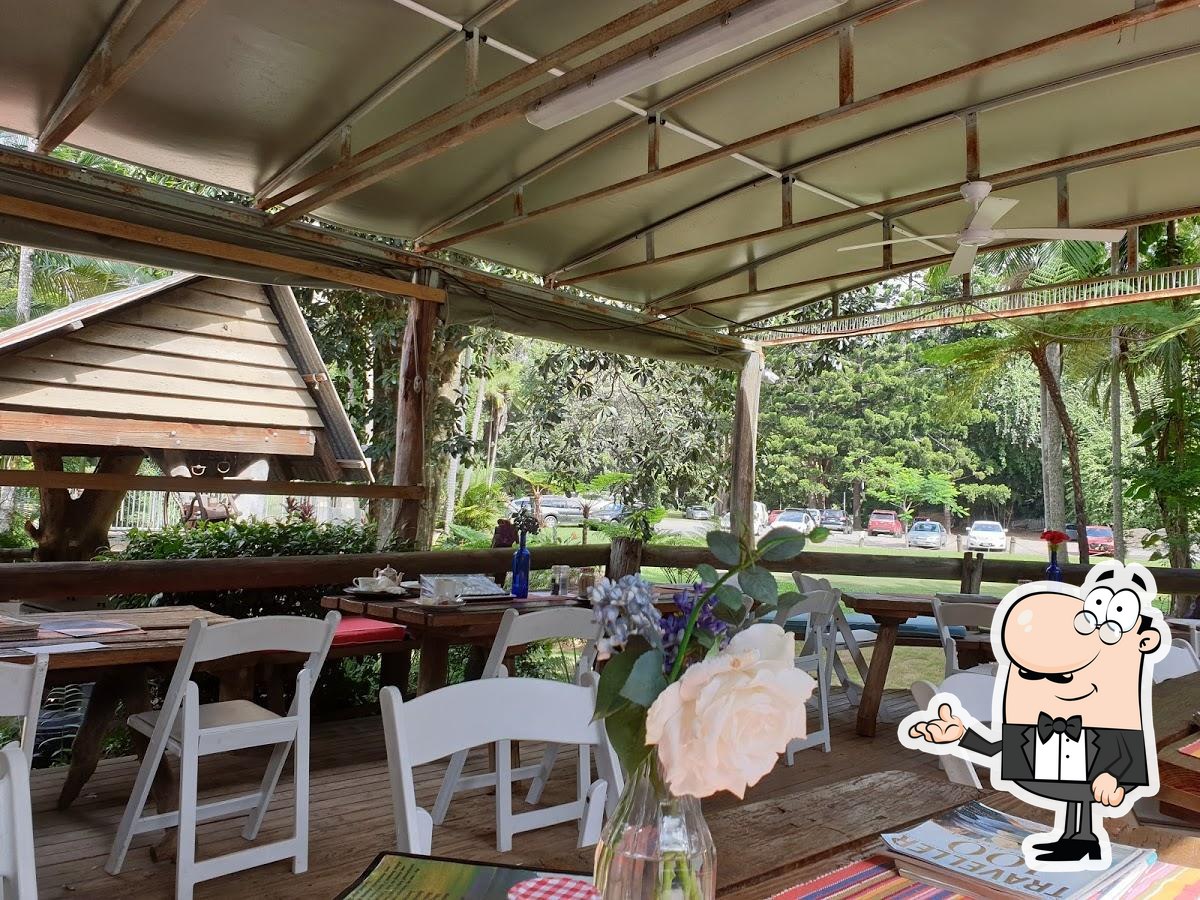 Sapphire Bean Coffee Shop in Mudgeeraba - Restaurant reviews