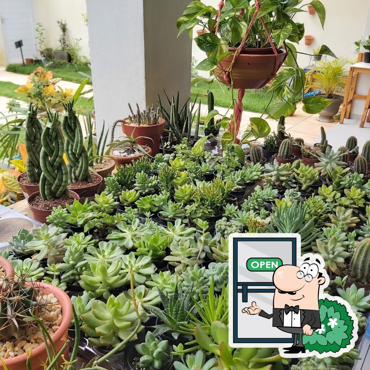 Marcela Plantas e Cafeteria, Brazil - Restaurant reviews