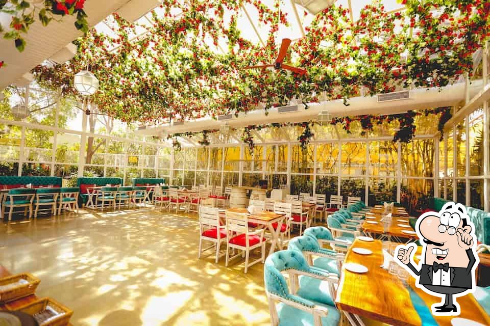 The Forresta Kitchen & Bar, Jaipur - Restaurant menu and reviews