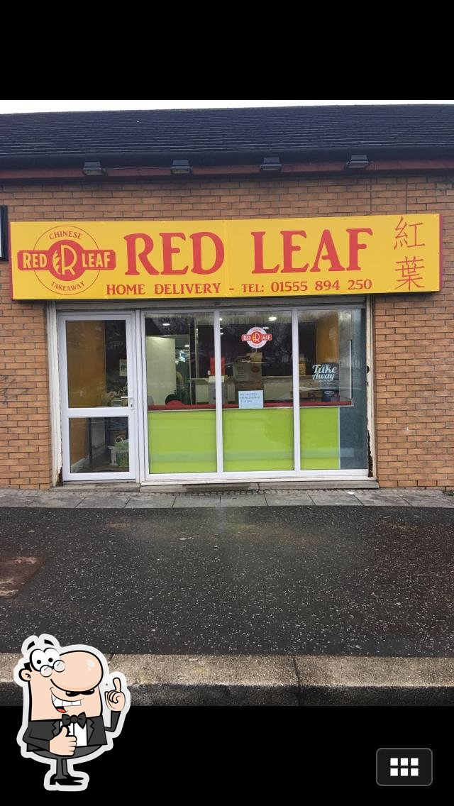 RED LEAF Chinese Take Away, Kirkmuirhill - Restaurant menu, prices and ...