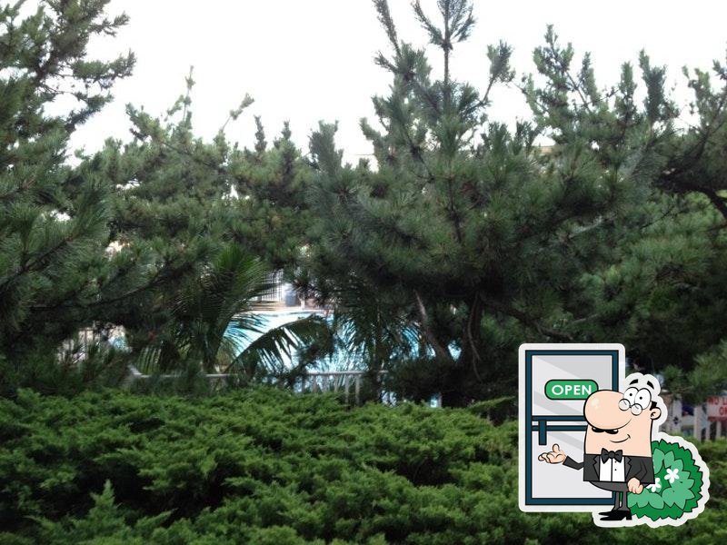 Holiday Inn Pool Bar in Ocean City - Restaurant reviews