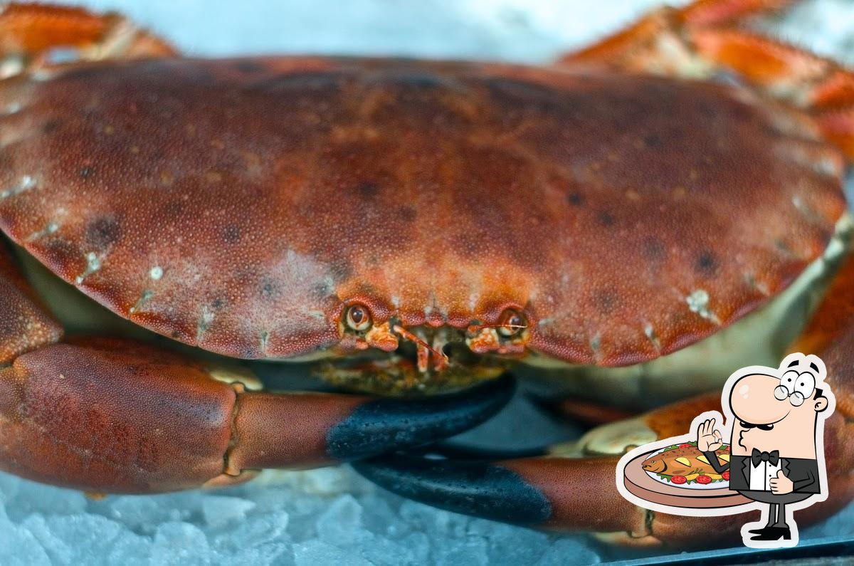 The Salt Pig in Wareham - Restaurant reviews