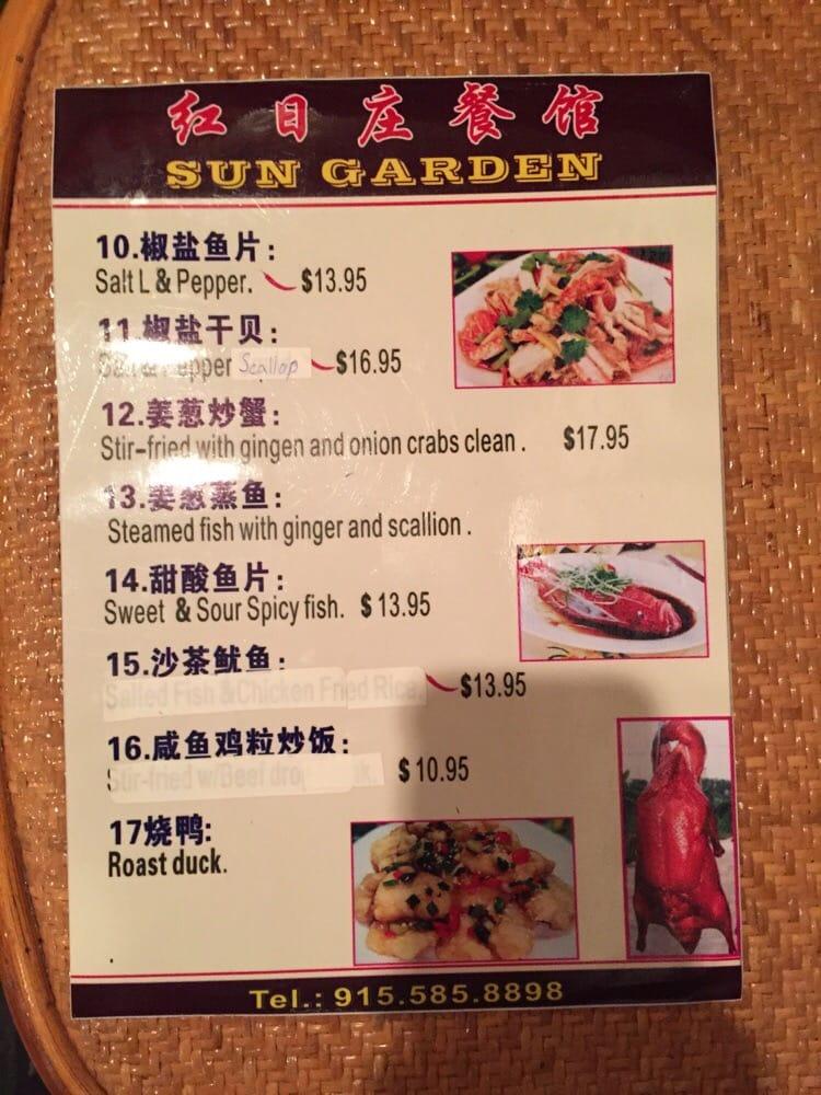 Menu at Sun garden chinese bistro restaurant, El Paso