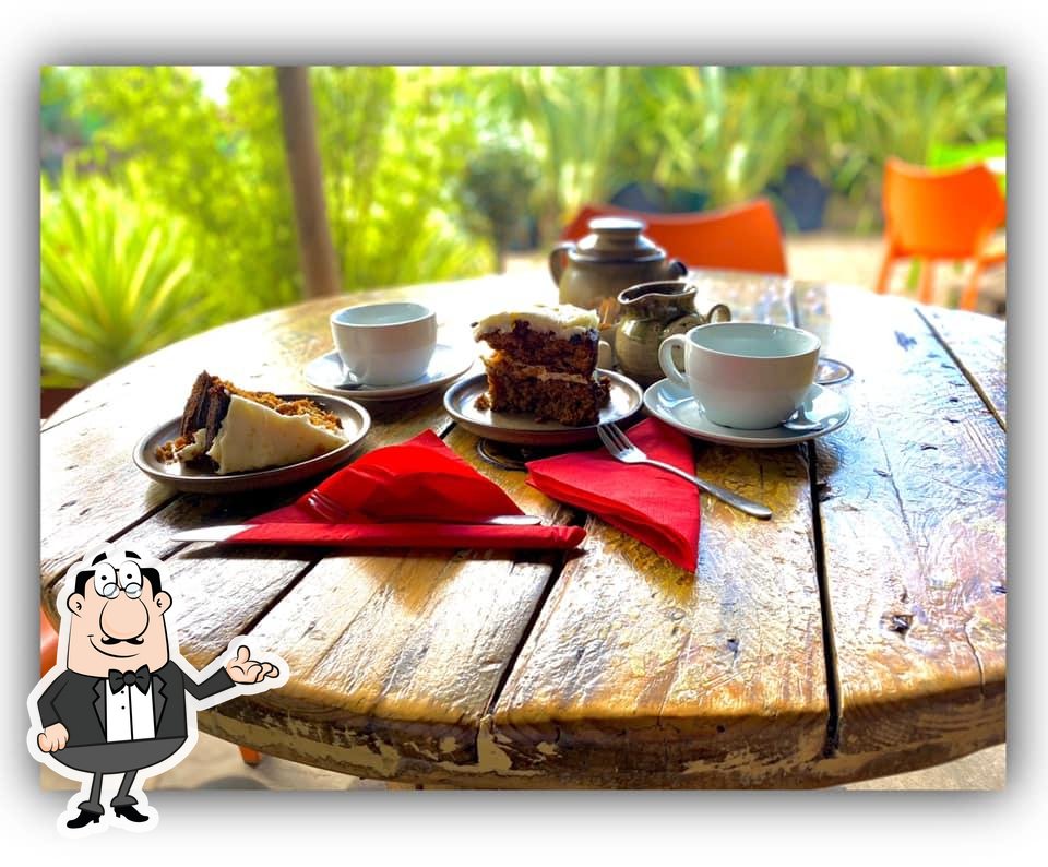 Jungle Tea Room in Ashington - Restaurant reviews